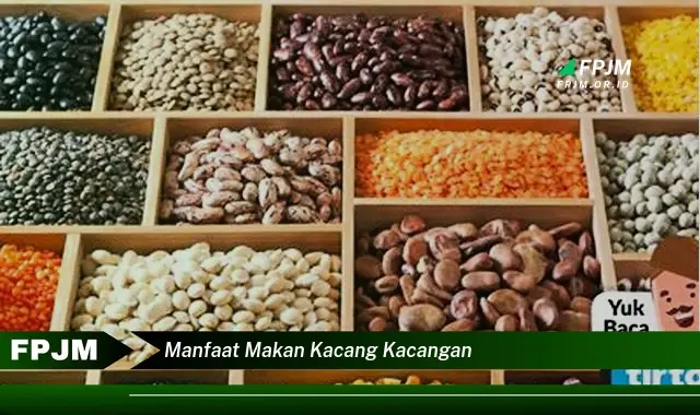 Temukan 6 Manfaat Makan Kacang Kacangan Yang Jarang Diketahui