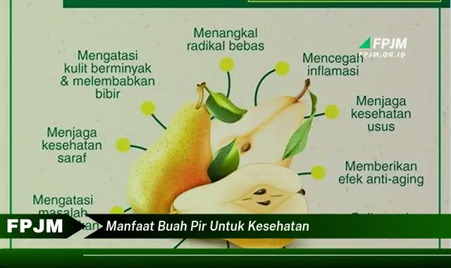 Ketahui 6 Manfaat Buah Pir Yang Bikin Kamu Penasaran Untuk Kesehatan
